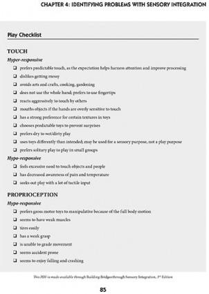 Building Bridges Forms and Exercises - Sensory World